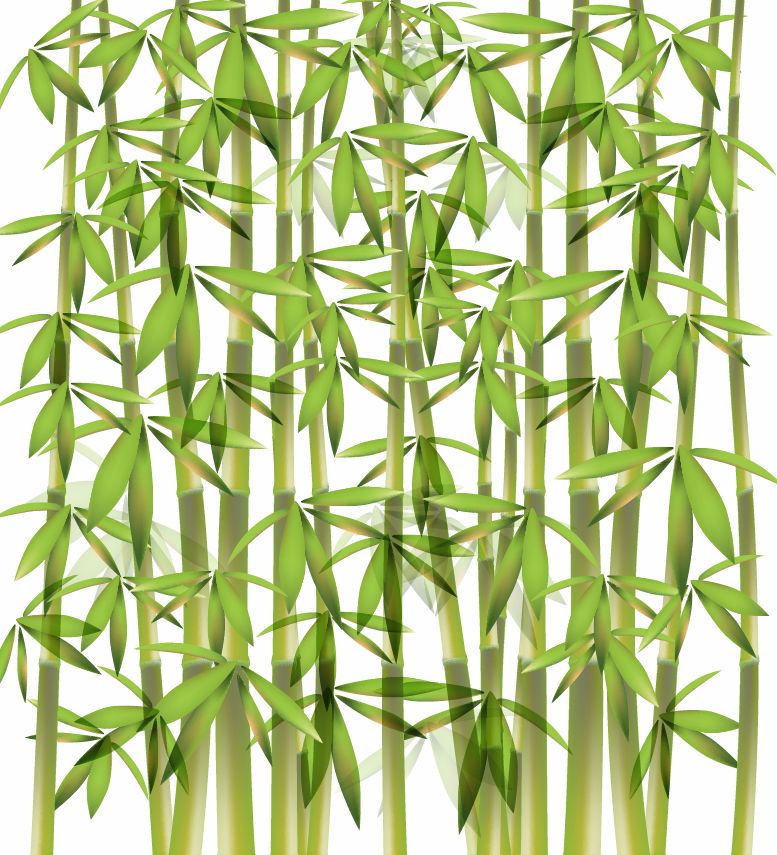 Bamboo Illustration (7525) Free EPS Download / 4 Vector